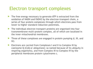 electron transport chain_respiratory pathway1.pptx