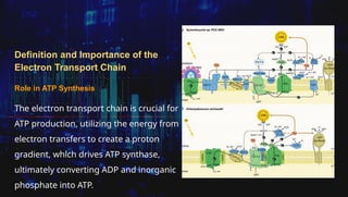 Electron Transport Chain and Energy Production (2).pptx