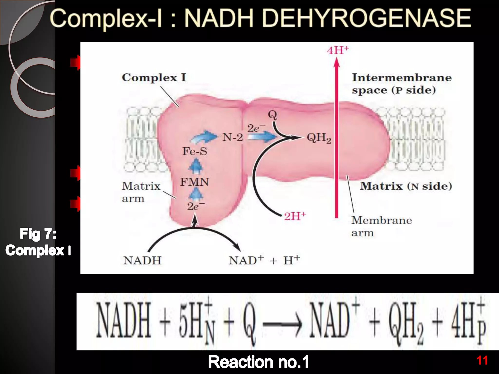 Electron transport chain and inhibitor of etc | PPTX