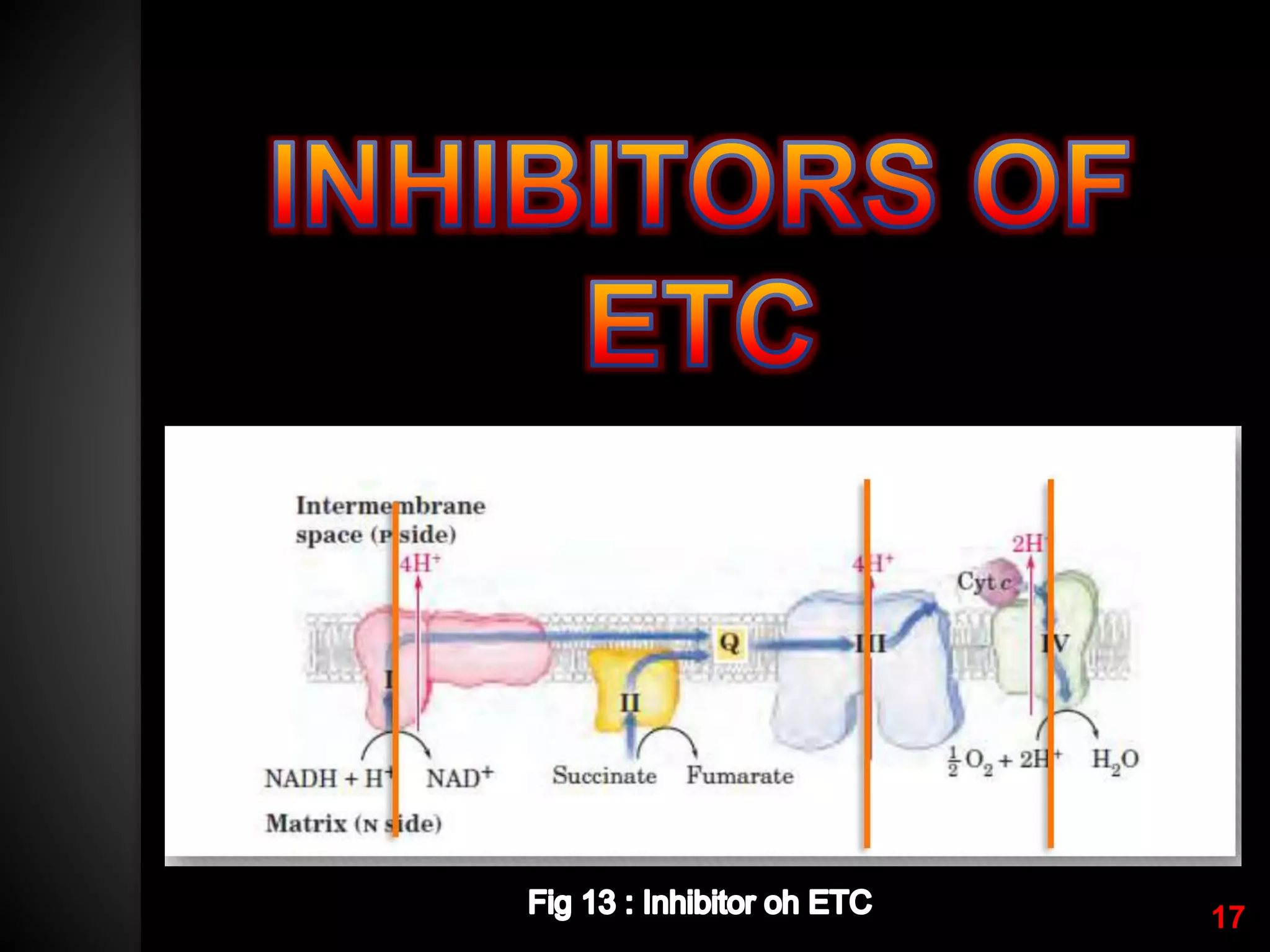 Electron transport chain and inhibitor of etc | PPTX