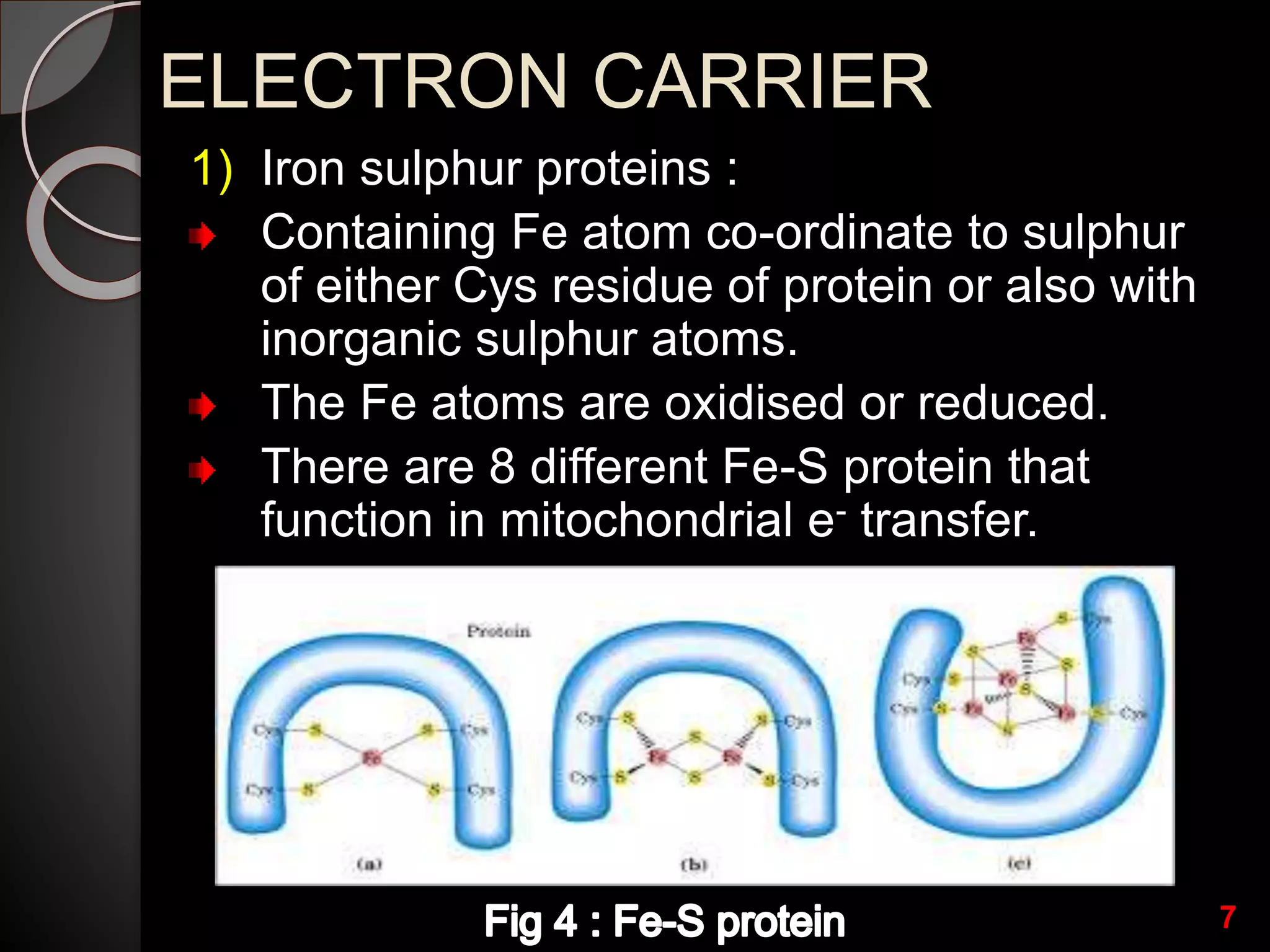 Electron transport chain and inhibitor of etc | PPTX