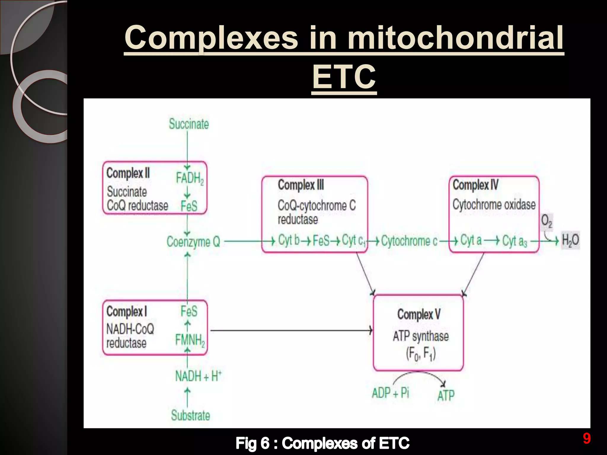 Electron transport chain and inhibitor of etc | PPTX