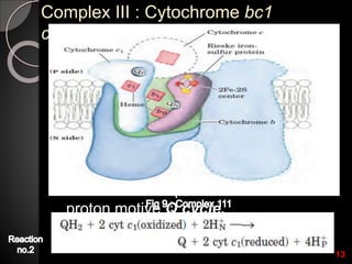 Electron transport chain and inhibitor of etc | PPTX
