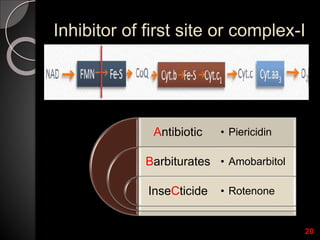 Electron transport chain and inhibitor of etc | PPTX