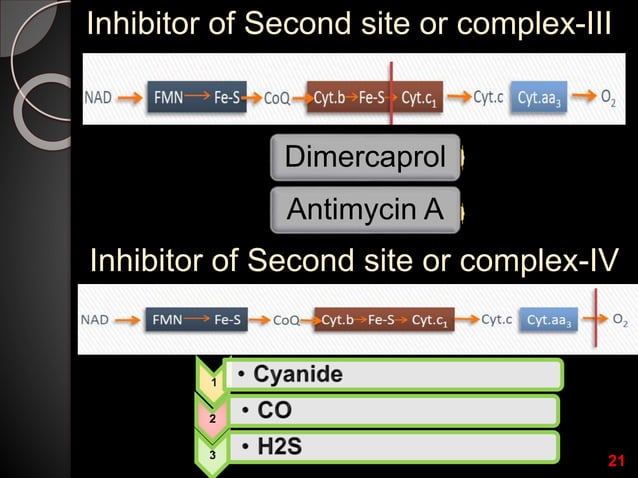 Electron transport chain and inhibitor of etc | PPTX | Chemistry | Science