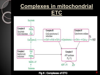 Electron transport chain and inhibitor of etc | PPTX