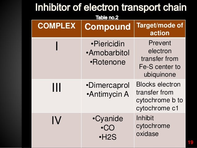 Electron transport chain and inhibitor of etc