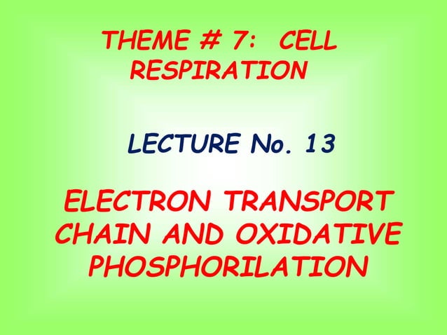 ELECTRON TRANSPORT CHAIN AND OXIDATIVE PHOSPHORYLATION.ppt | Chemistry | Science