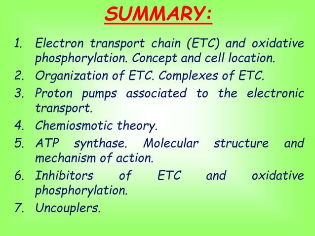ELECTRON TRANSPORT CHAIN AND OXIDATIVE PHOSPHORYLATION.ppt | Chemistry | Science