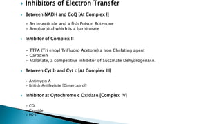 Electron Transport Chain | PPTX