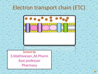 Electron transport chain (ETC) for ATP synthesis | PPTX