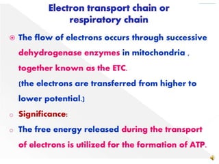 Electron transport chain (ETC) for ATP synthesis | PPTX