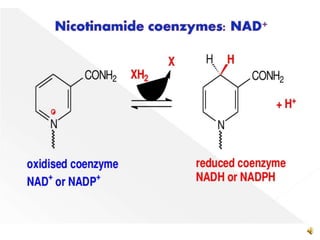 Electron transport chain (ETC) for ATP synthesis | PPTX