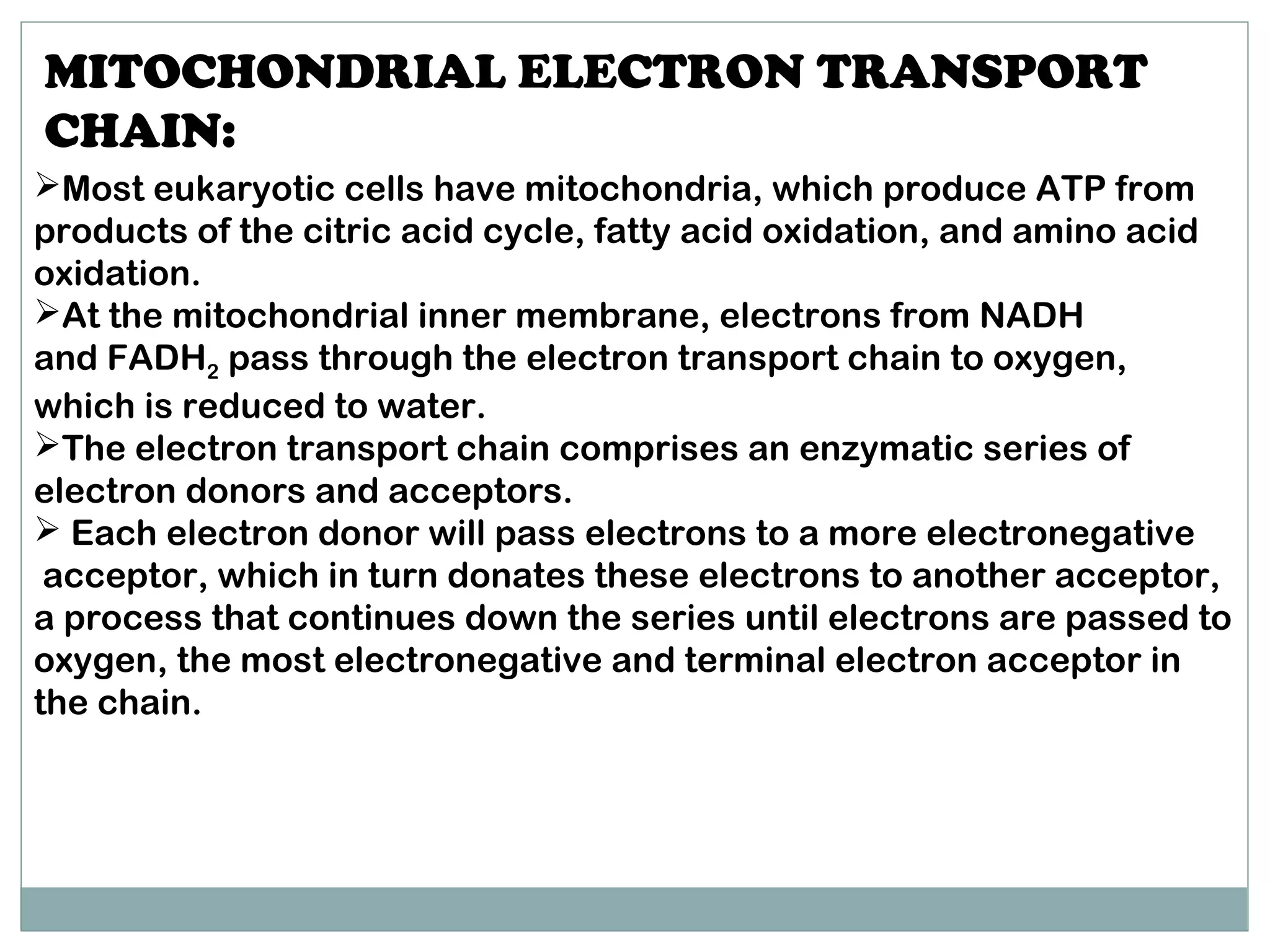 Electron transport chain final | PPT | Chemistry | Science