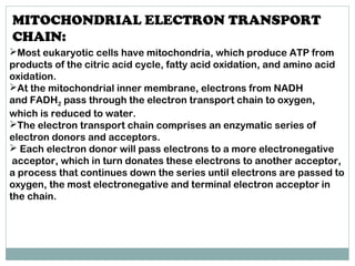Electron transport chain final | PPT | Chemistry | Science