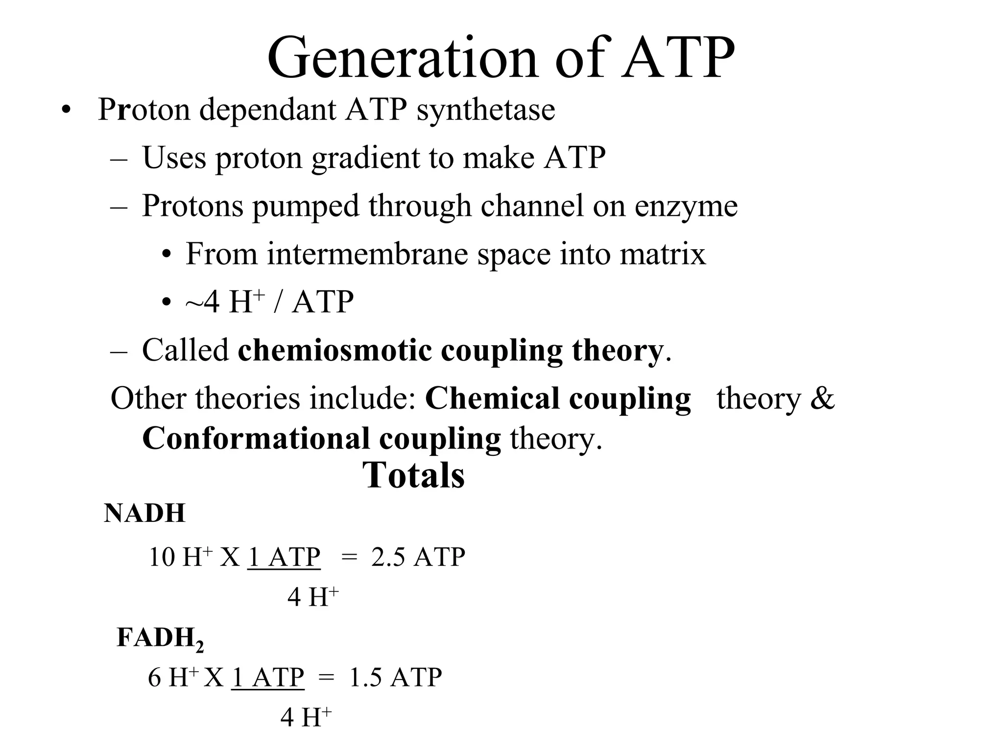 Electron Transport Chain lecture.ppt