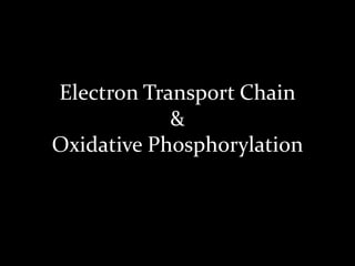 Electron transport chain & oxidative phosphorylation | PPTX | Chemistry | Science