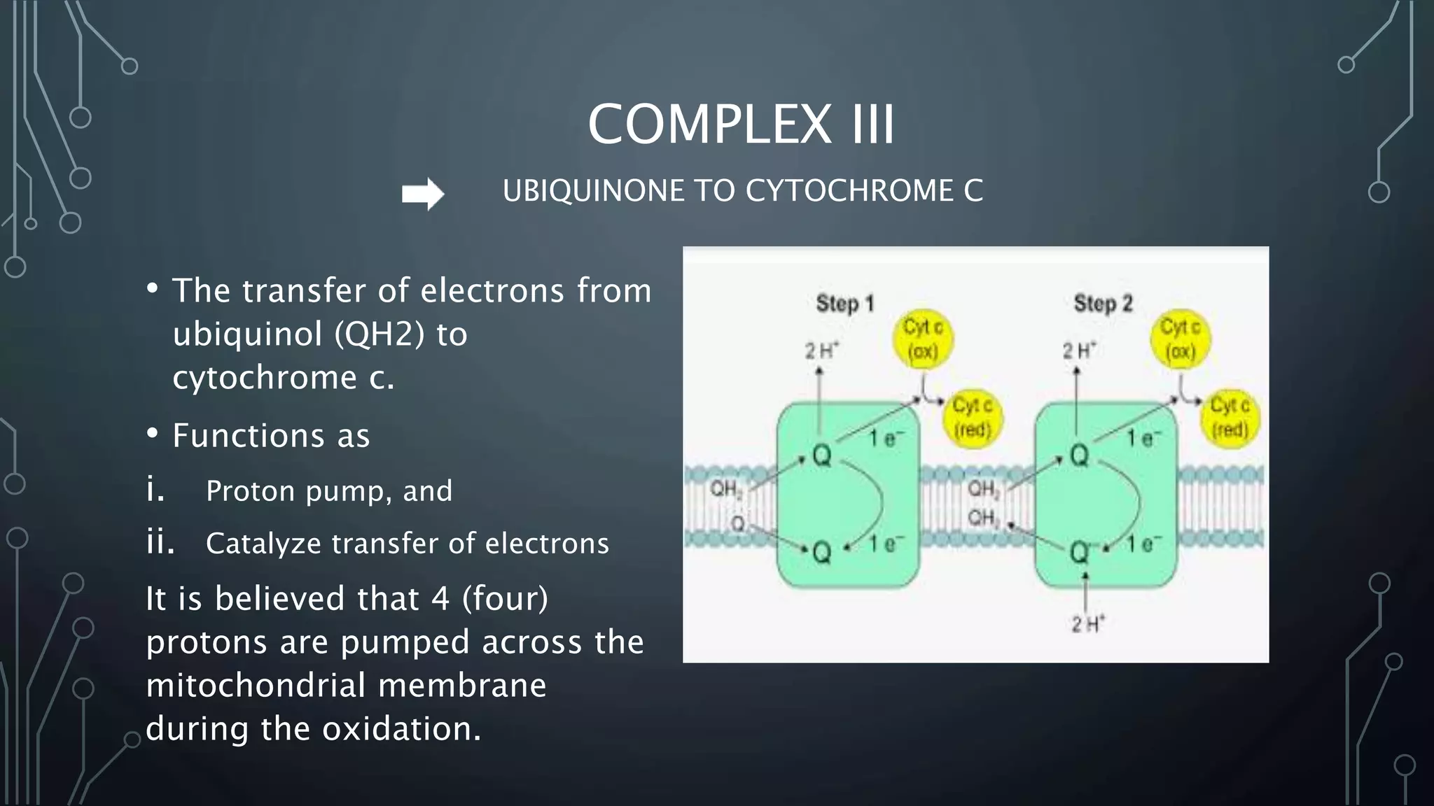Electron transport chain & oxidative phosphorylation | PPTX