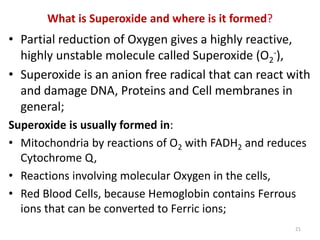 Electron Transport Chain Oxidative Phosphorylation PPP 4.pdf