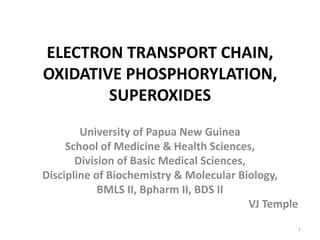 Electron Transport Chain Oxidative Phosphorylation PPP 4.pdf