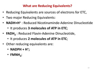 Electron Transport Chain Oxidative Phosphorylation PPP 4.pdf