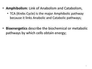 Electron Transport Chain Oxidative Phosphorylation PPP 4.pdf