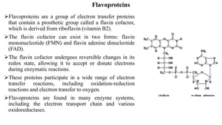 Electron Transport Proteins.pdf