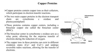 Electron Transport Proteins.pdf