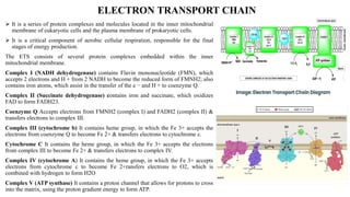 Electron Transport Proteins.pdf