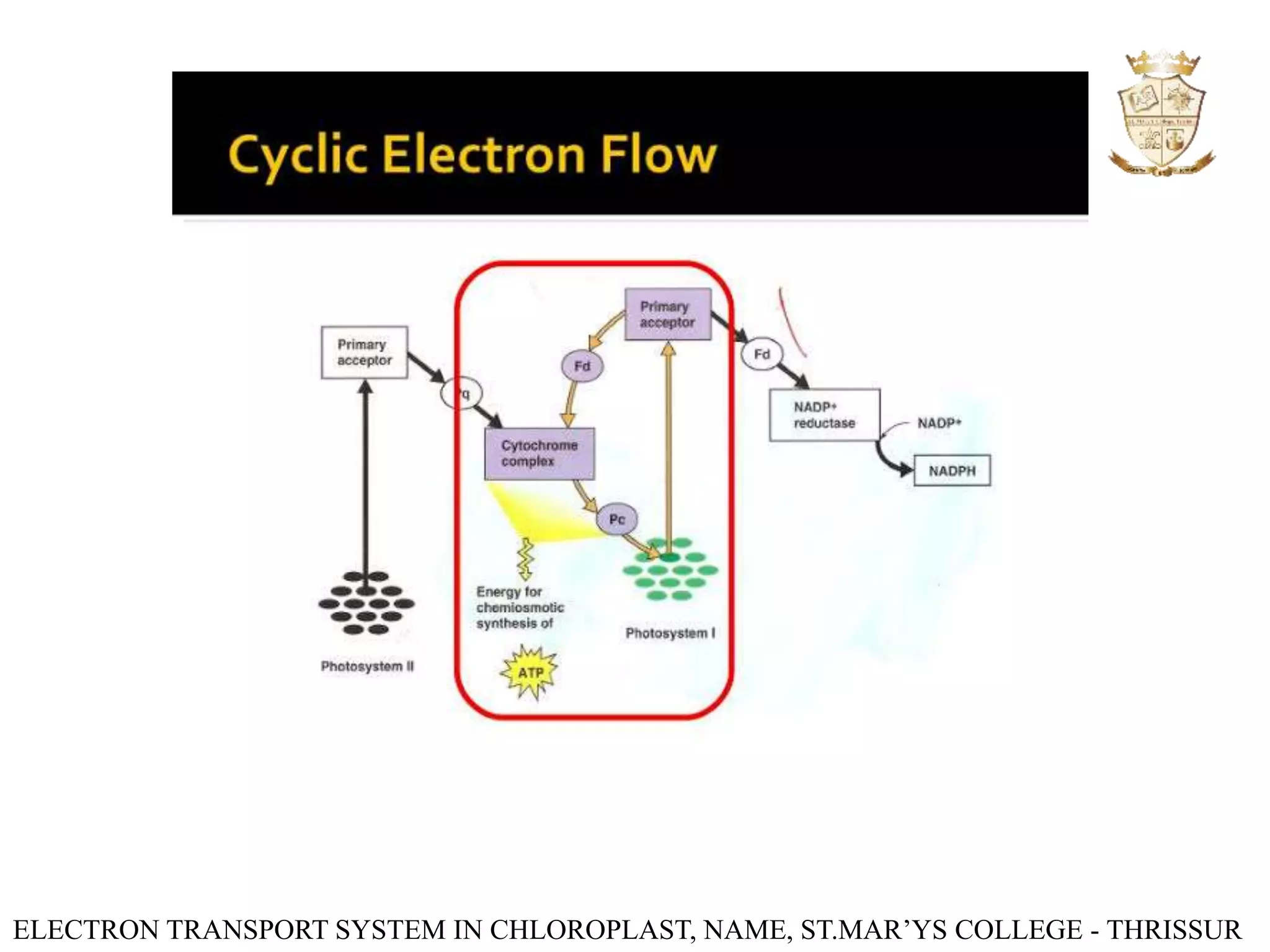 Electron transport system in chloroplast | PPTX