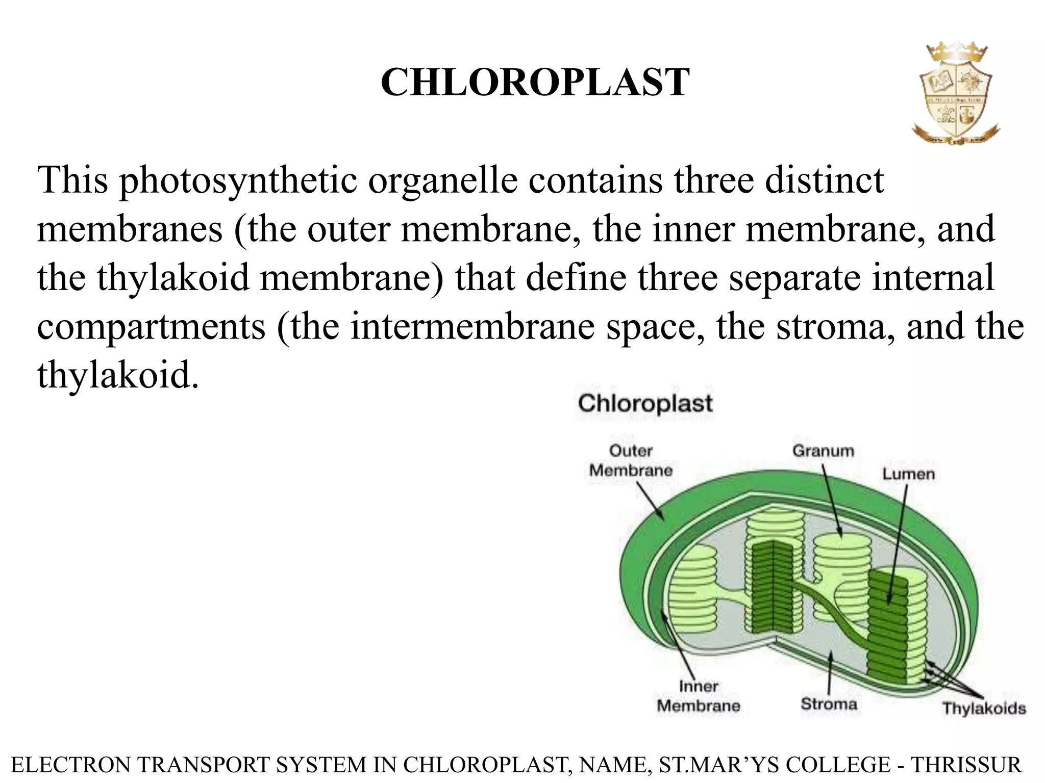 Electron transport system in chloroplast | PPTX