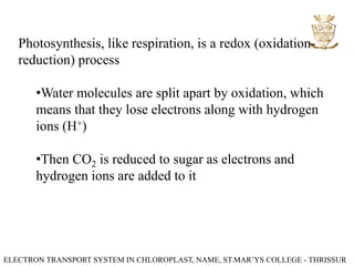 Electron transport system in chloroplast | PPTX