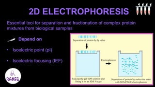 Introduction to Electrophoresis and its Classifications | PPTX
