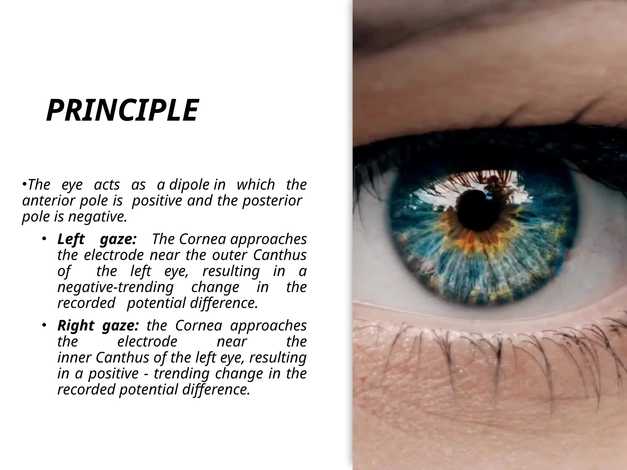 Brief Introduction on Electro Oculography-SSM.pptx