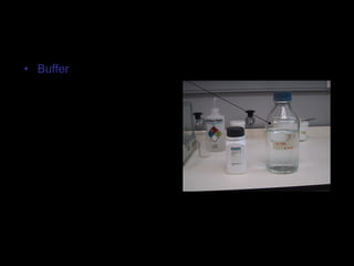 Electrophoresis 1 | PPT