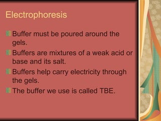 Electrophoresis | PPT | Chemistry | Science