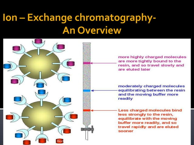 Chromatography | PPT