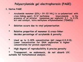 Electrophoresis | PPT
