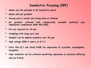 Electrophoresis | PPT