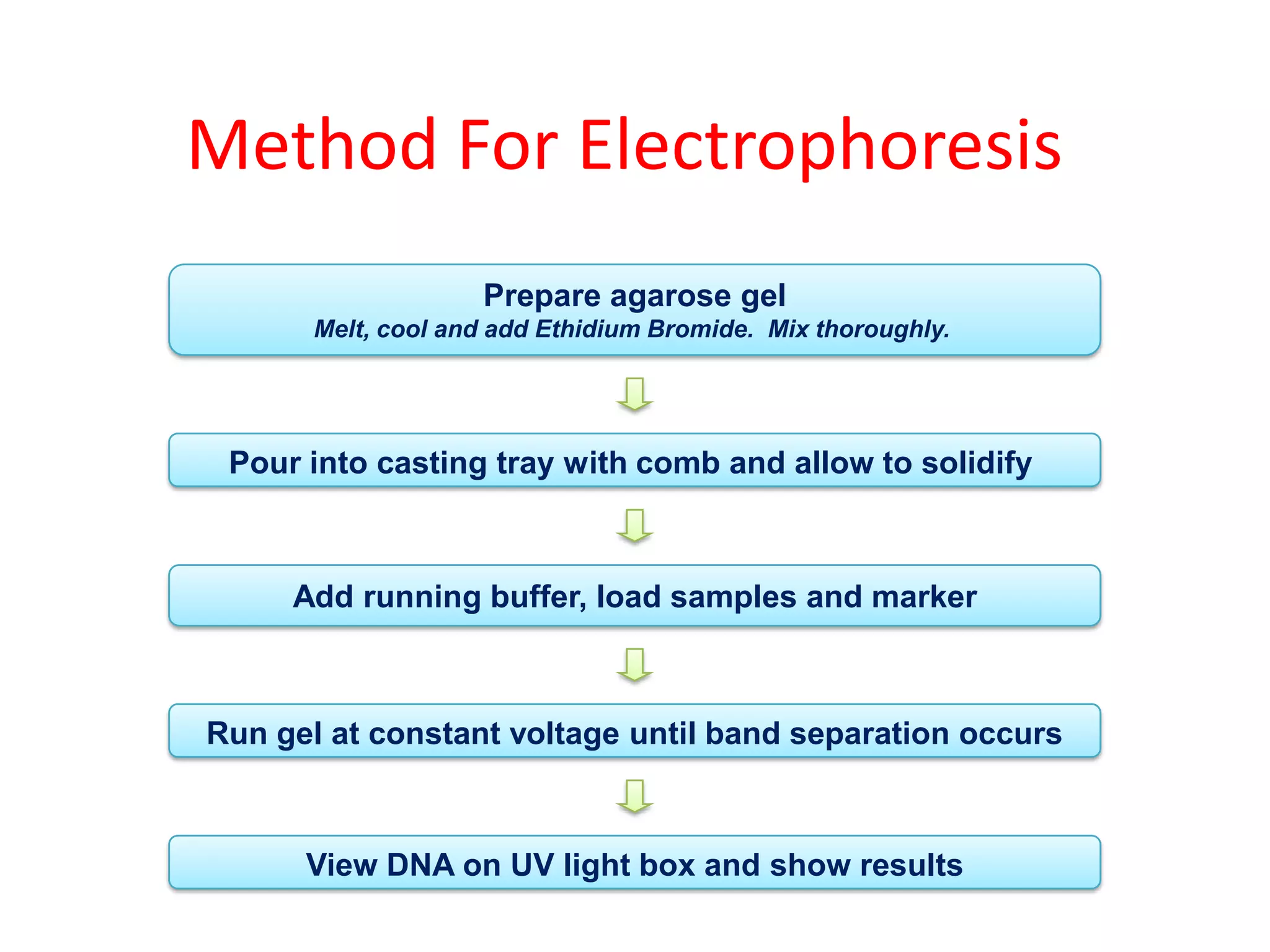 agarose gel electrophoresis | PPTX
