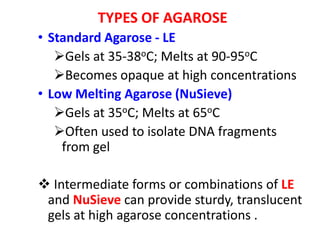agarose gel electrophoresis | PPTX