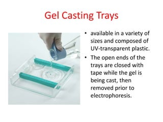 agarose gel electrophoresis | PPTX