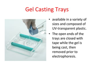 Agarose Gel Electrophoresis | PPT