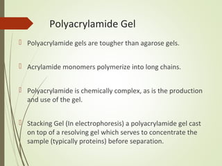 Electrophoresis | PPT