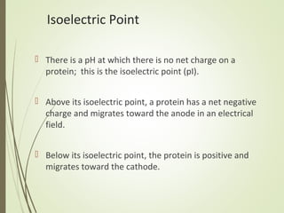 Electrophoresis | PPT