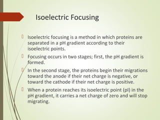 Electrophoresis | PPT