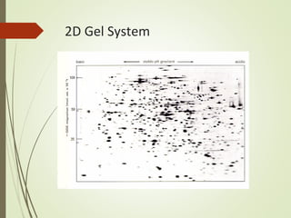 Electrophoresis | PPT