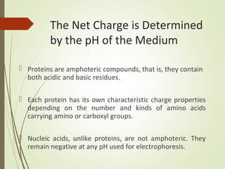 Electrophoresis | PPT
