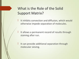 Electrophoresis | PPT