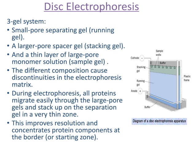 Electrophoresis sem4 paper1 MITHIBAI COLLEGE | PPT